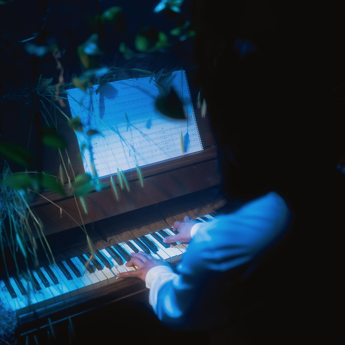 Michael Kim-Sheng Tour Dates